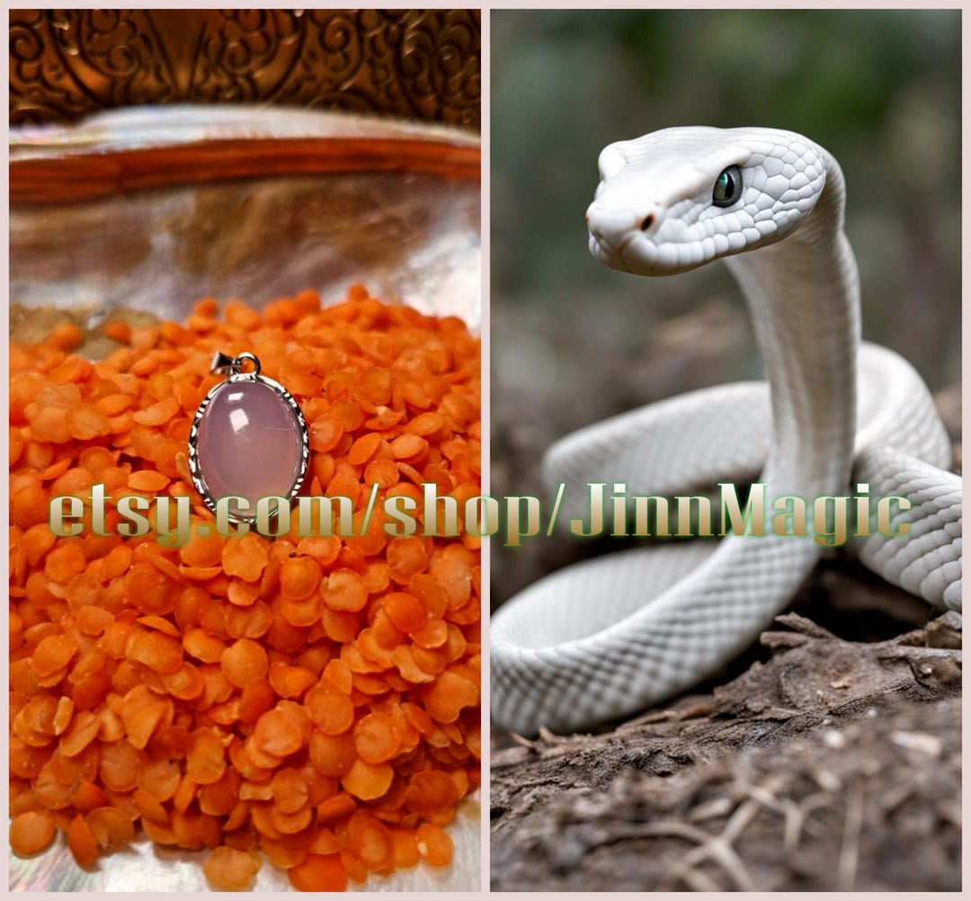 Rare White King Cobra Pearl (nagamani)- Authentic White Cobra Snake ...
