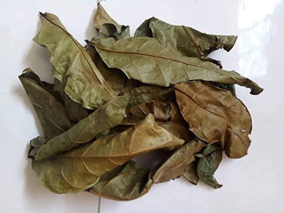 Natural Dried Hyssop Leaves, Spiritual Cleansing, African Hyssop ...