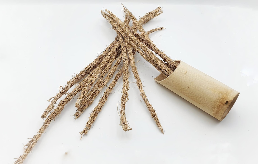 Roots of Vetiver, Khamaré, Gongoli - Etsy