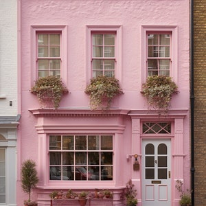 Pink Houses Digital Files Realistic Illustrations Digital - Etsy