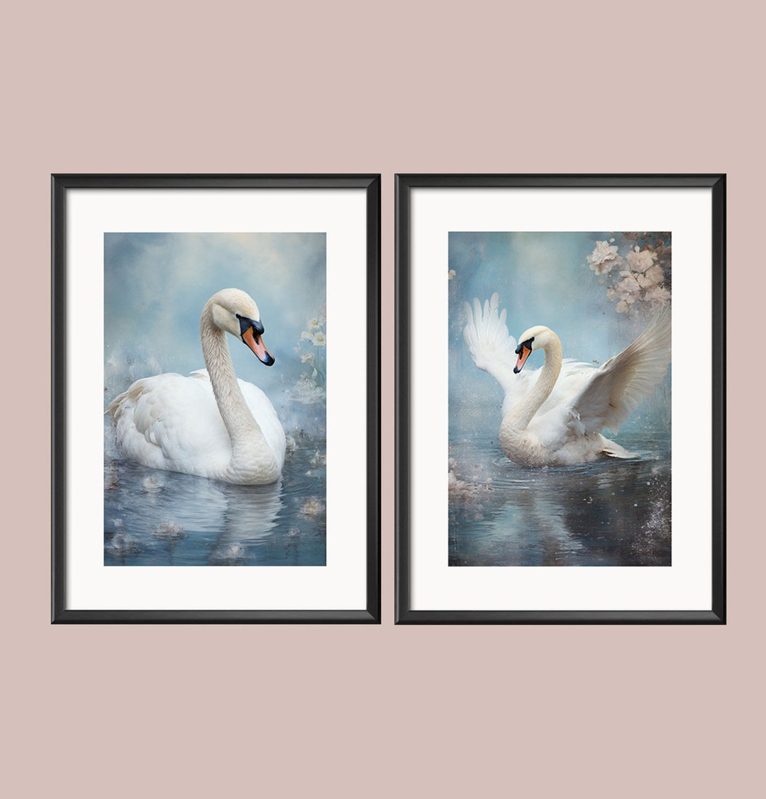 White Swans Digital Files, Swan Illustrations, Bird Art, Wildlife ...
