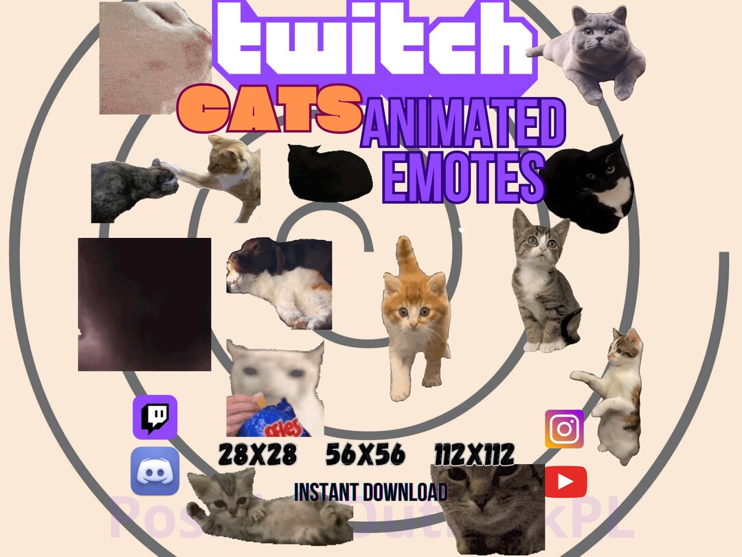 15 Ridiculous Animated Cat Emotes Pack, Twitch Emoji Emotes, Discord ...