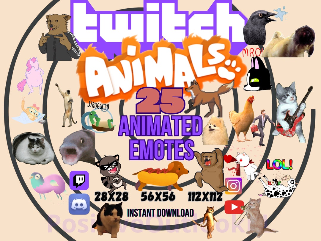 25 Animated Funny Animals Emotes, Funny Cat Twitch Emotes, Discord ...