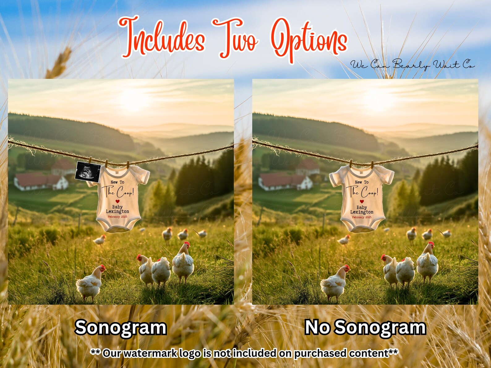 Chicken Pregnancy Announcement Digital, New to the Coop Baby ...