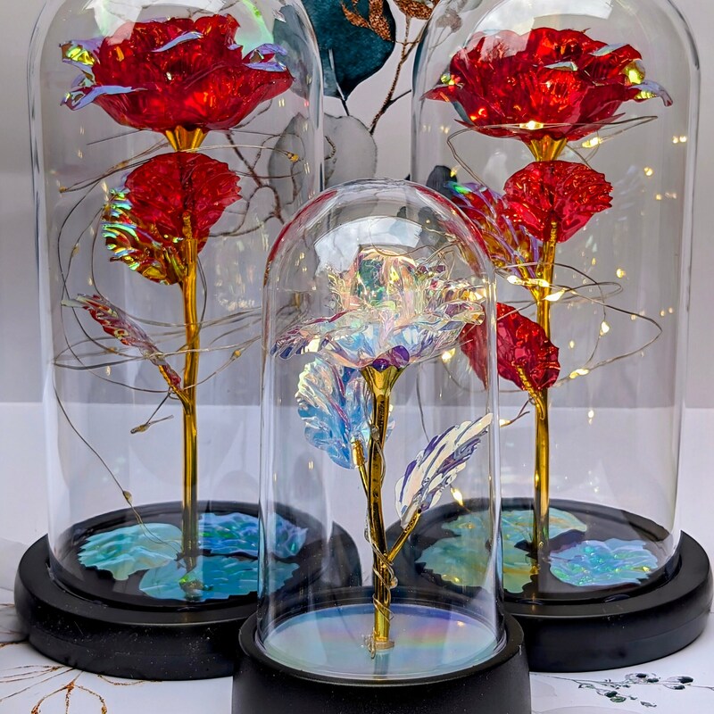 Rose in Glass Dome - Etsy