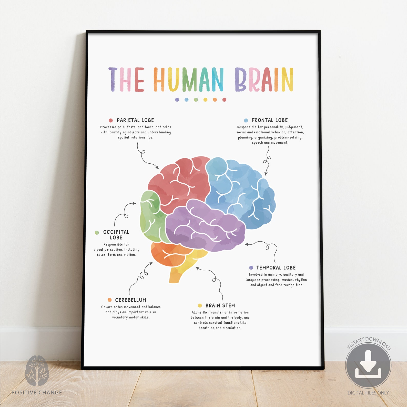 The Human Brain Poster, Mind Body Connection Print, Watercolor Brain ...