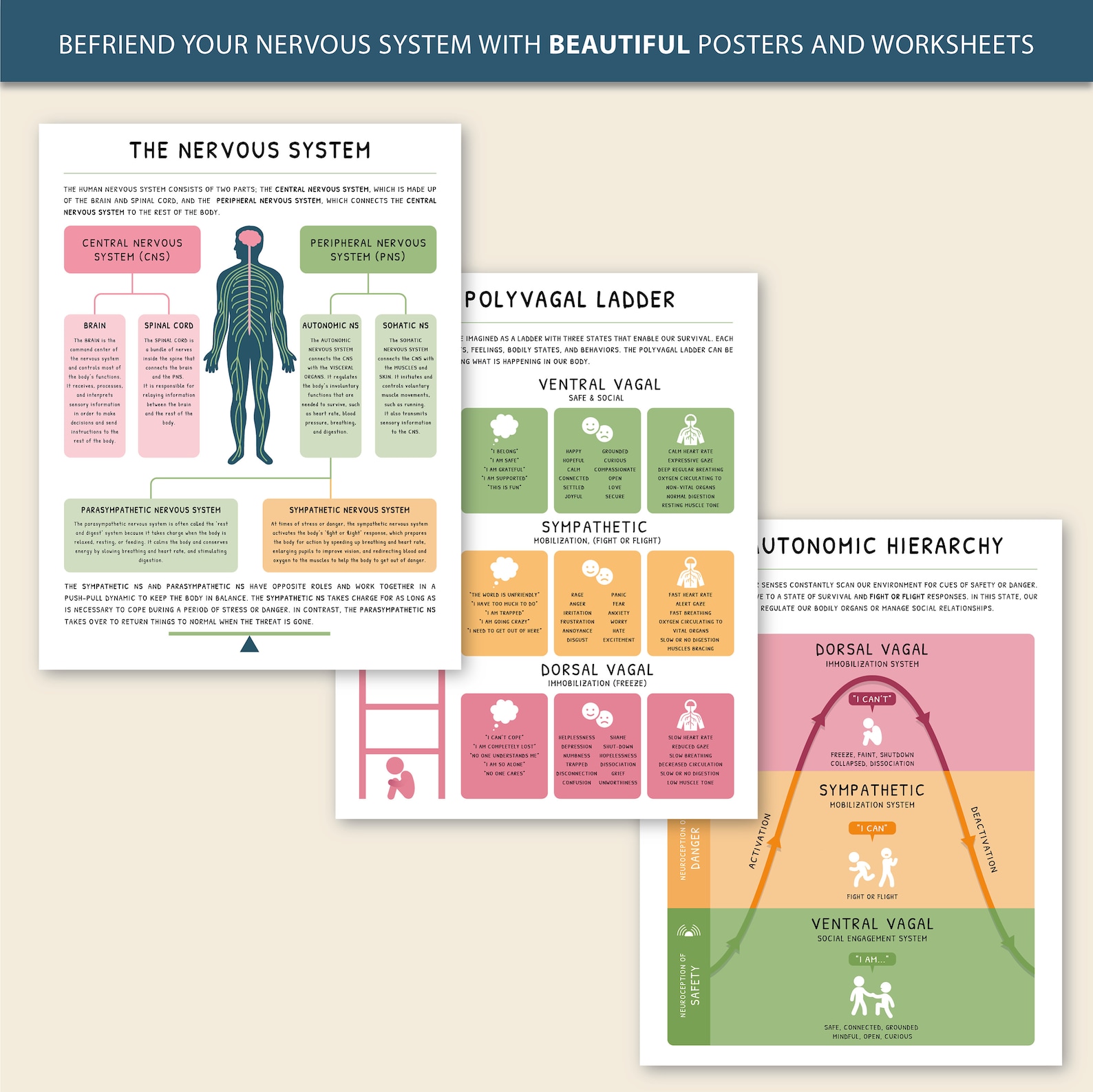 Nervous System Regulation Workbook, Polyvagal Theory Ladder, Vagus ...