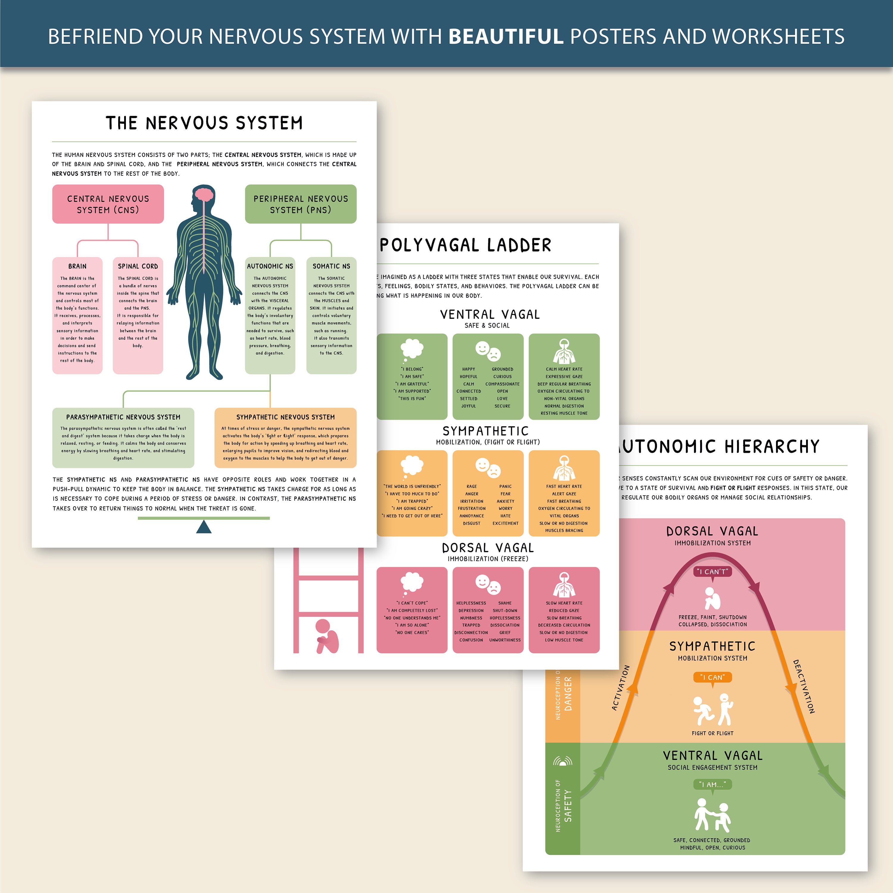 Nervous System Regulation Workbook, Polyvagal Theory Ladder, Vagus ...