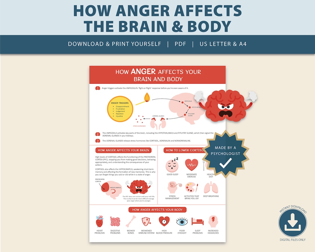 Anger Affects on the Brain and Body, Neuroscience, Emotional Regulation ...