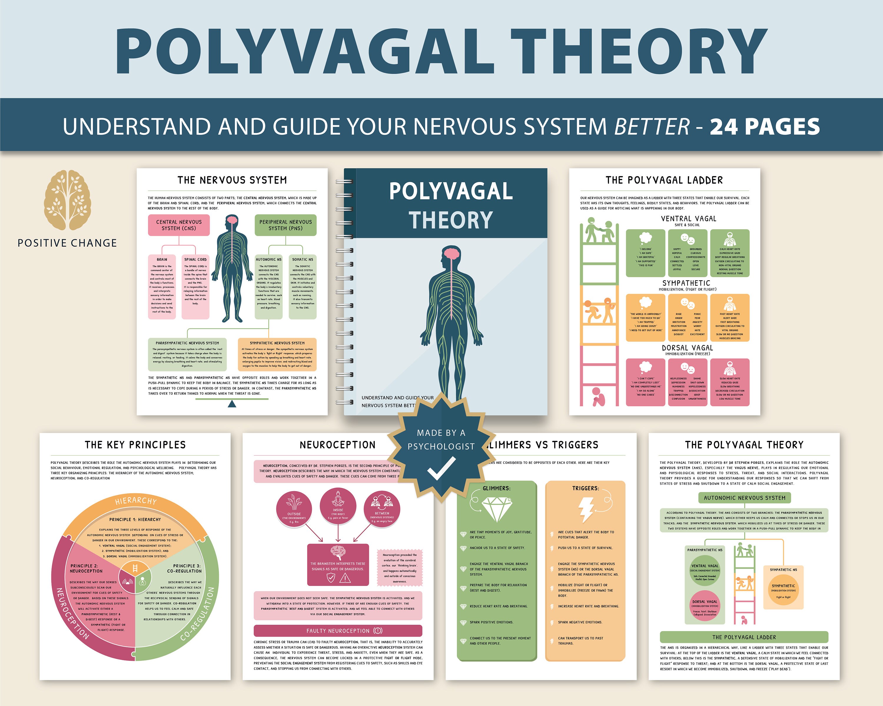 Nervous System Regulation Workbook, Polyvagal Theory Ladder, Vagus ...