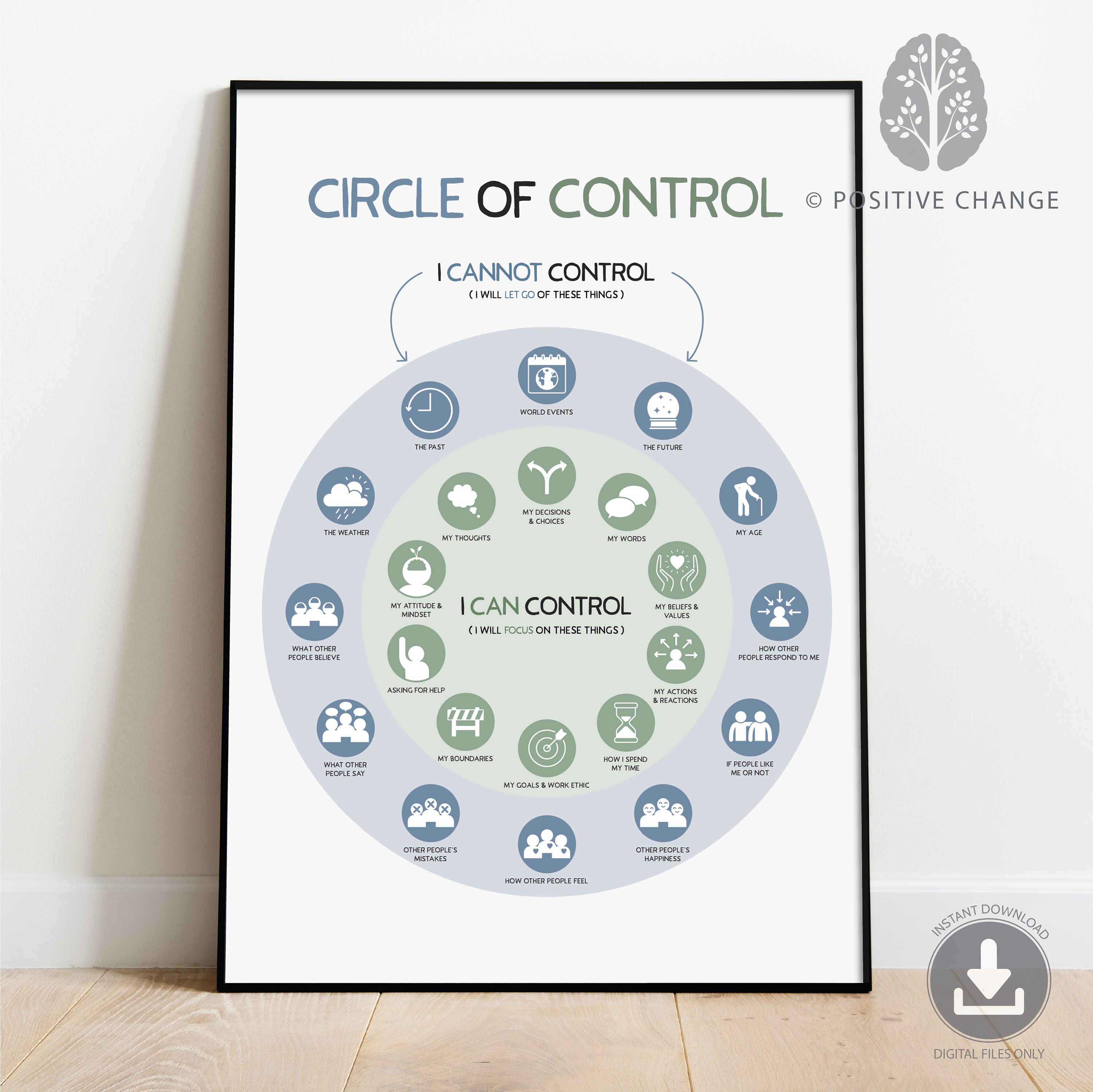 Circle of Control Therapy Poster, Classroom Anxiety Poster, What I Can ...