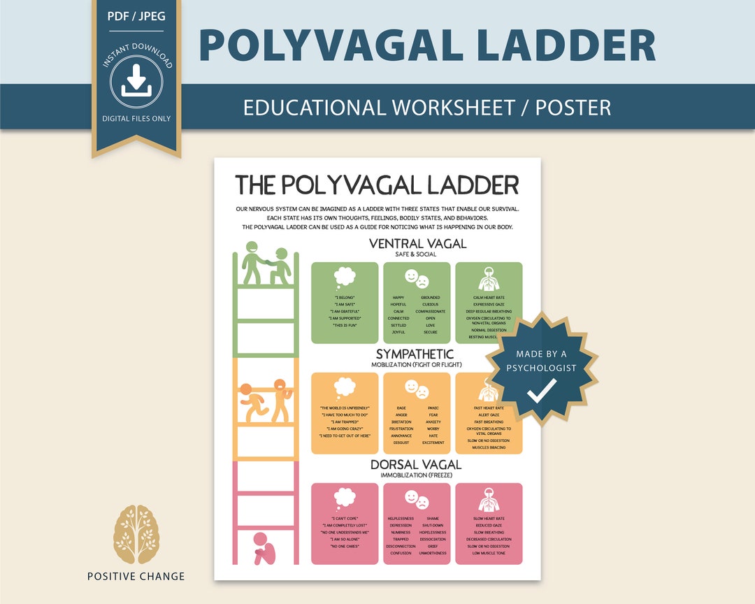 The Polyvagal Ladder, Vagal Nerve Stimulation, Vegus Nerve ...