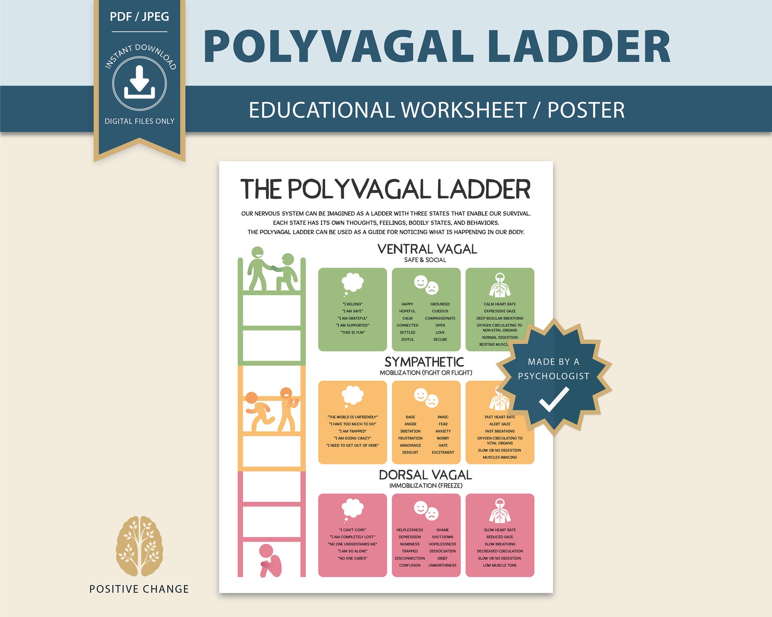 The Polyvagal Ladder, Vagal Nerve Stimulation, Vegus Nerve ...