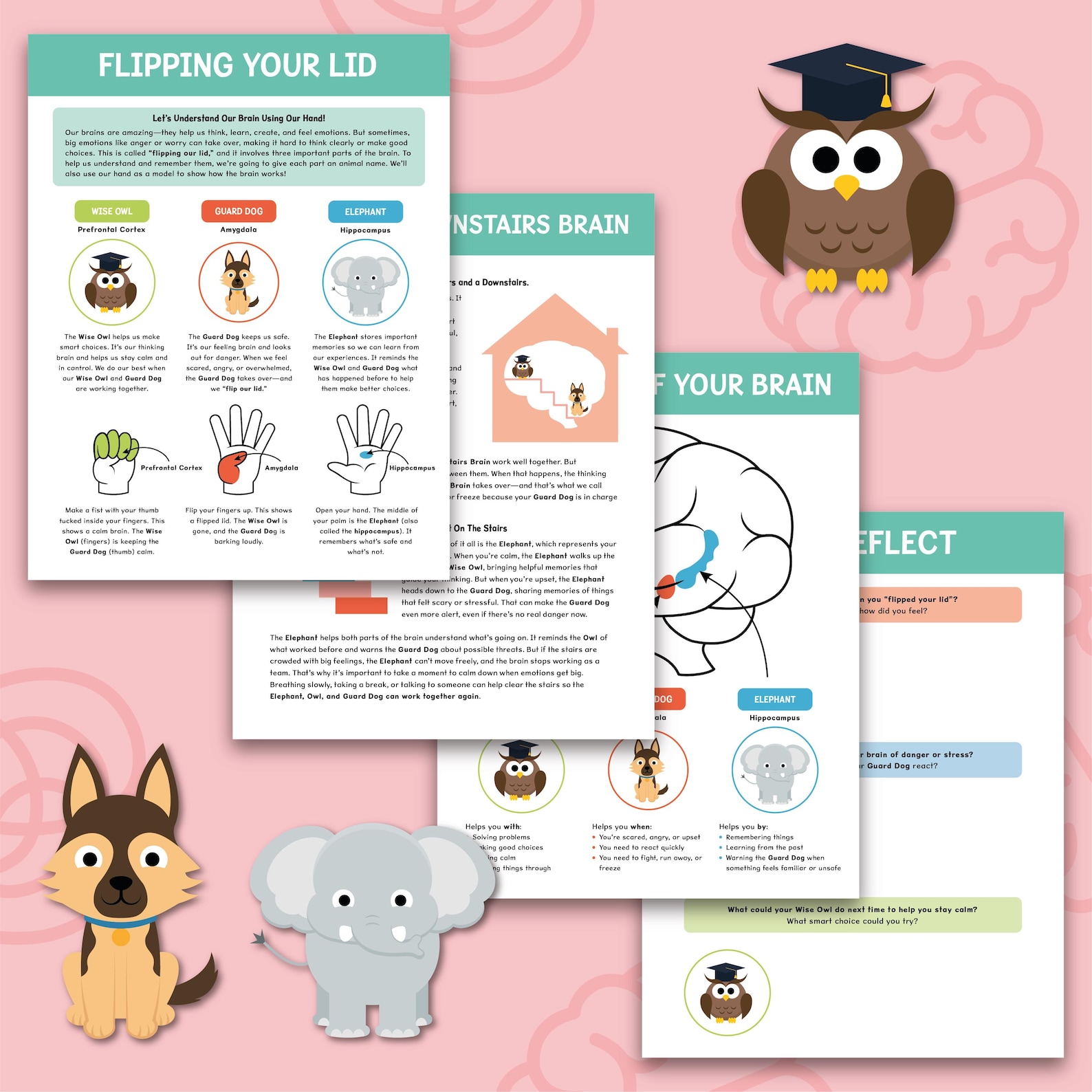 Flipping Your Lid, Emotional Regulation, Brain Hand Model, Emotions ...