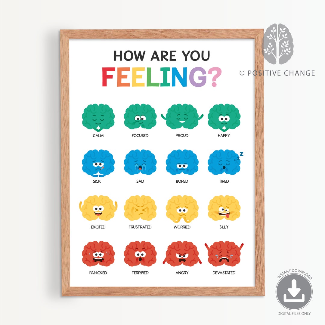 Zones of Regulation Poster Feelings Check In Social - Etsy
