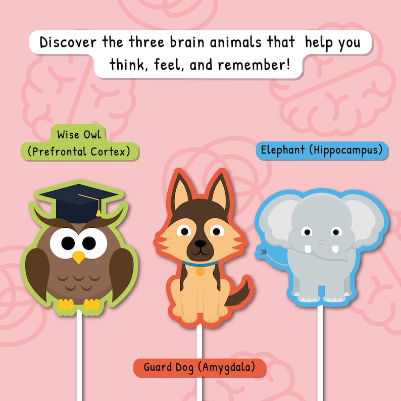 Flipped Your Lid Brain Card Game, Emotional Regulation, Hand Model of ...