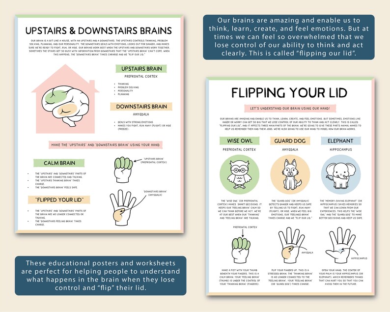 Flipping Your Lid, Emotional Regulation, Hand Model of the Brain ...