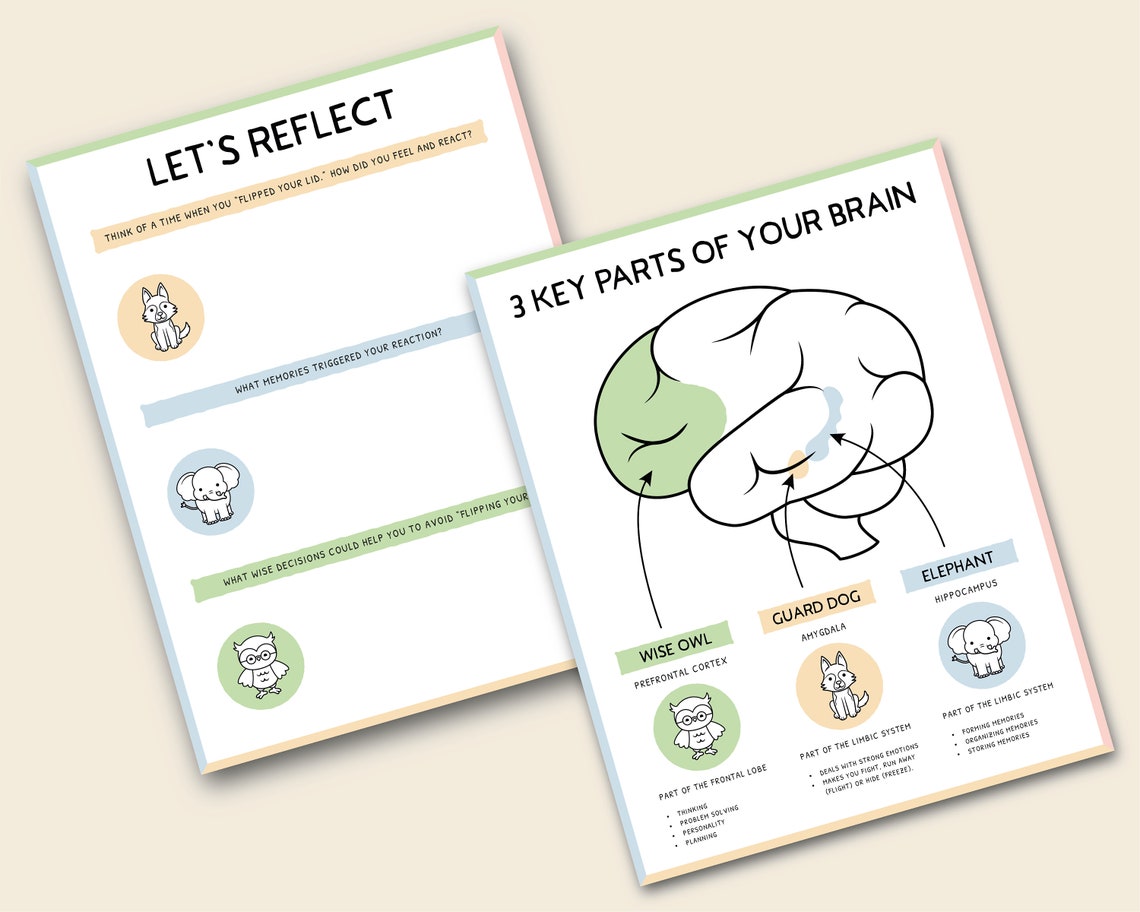 Flipping Your Lid, Emotional Regulation, Hand Model of the Brain ...