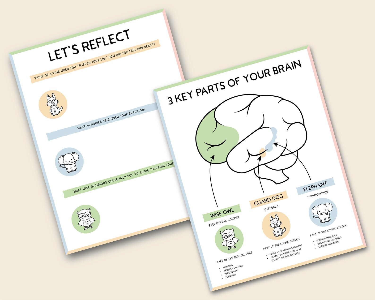 Flipping Your Lid, Emotional Regulation, Hand Model of the Brain ...