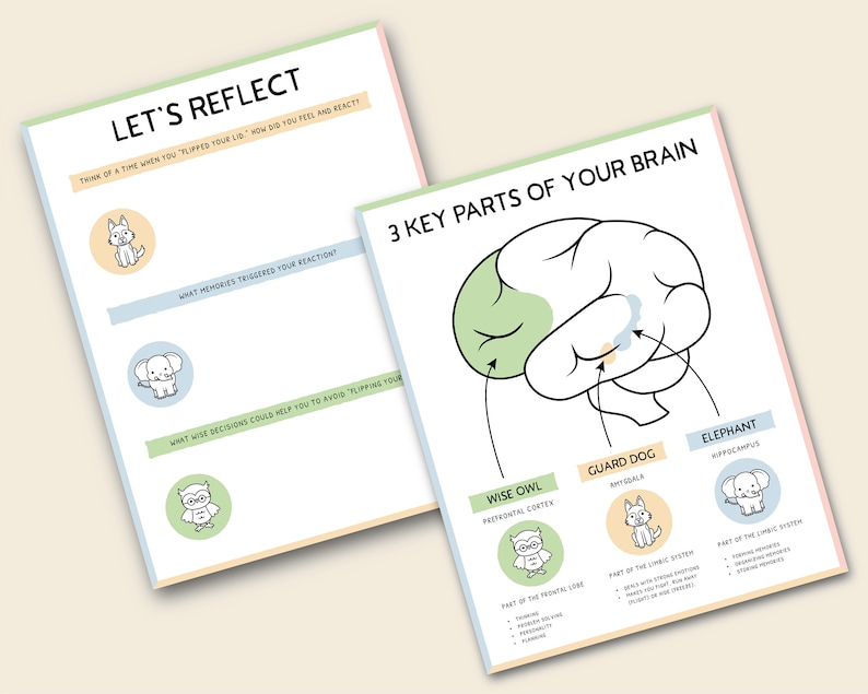 Flipping Your Lid, Emotional Regulation, Hand Model of the Brain ...