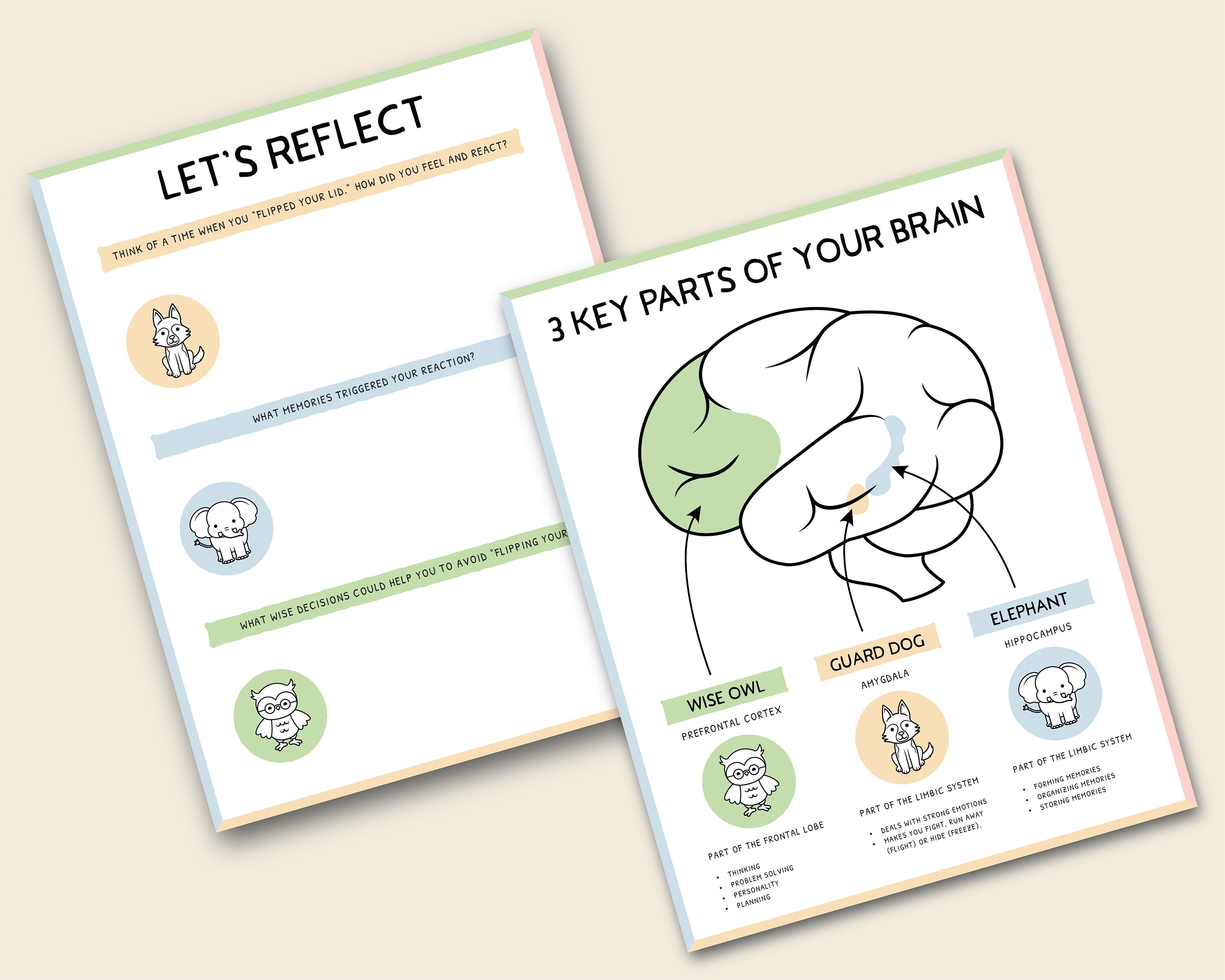 Flipping Your Lid, Emotional Regulation, Hand Model of the Brain ...