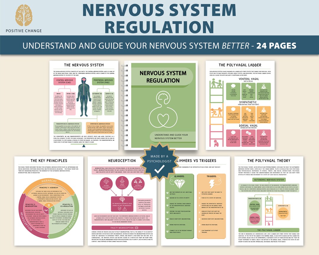 Nervous System Regulation Workbook, Polyvagal Theory Ladder, Vagus ...