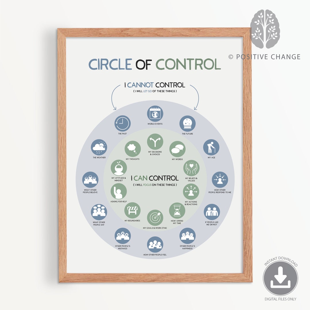 Circle of Control Therapy Poster, Classroom Anxiety Poster, What I Can ...