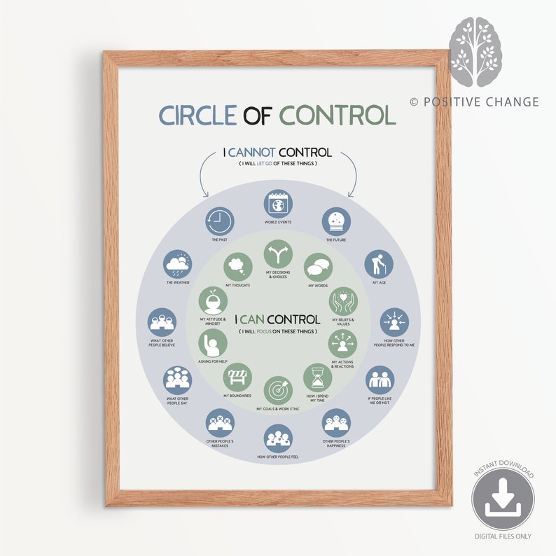 Circle of Control Therapy Poster, Classroom Anxiety Poster, What I Can ...