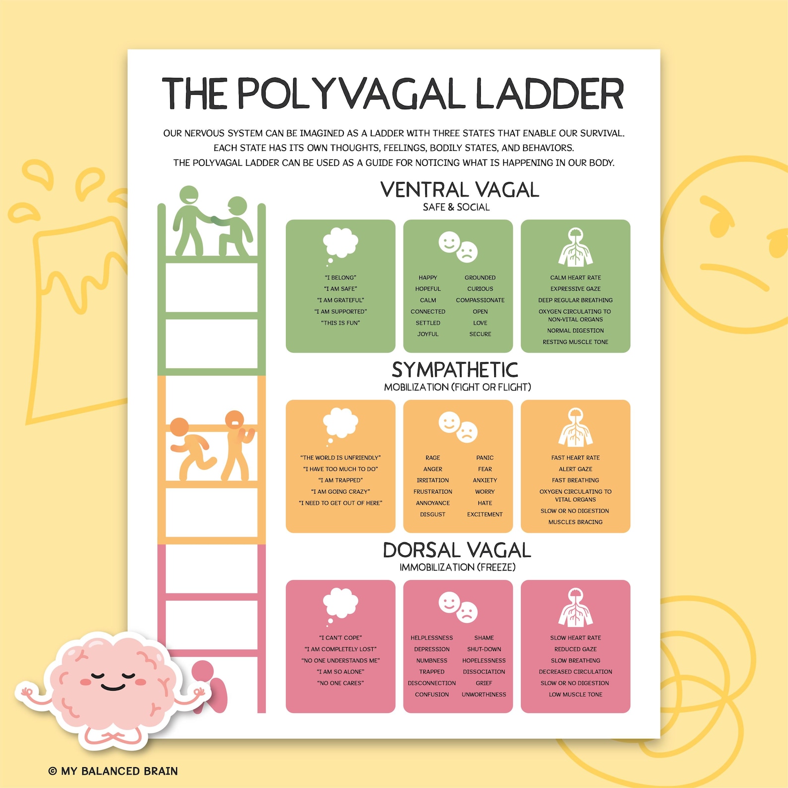 The Polyvagal Ladder, Vagal Nerve Stimulation, Vegus Nerve ...