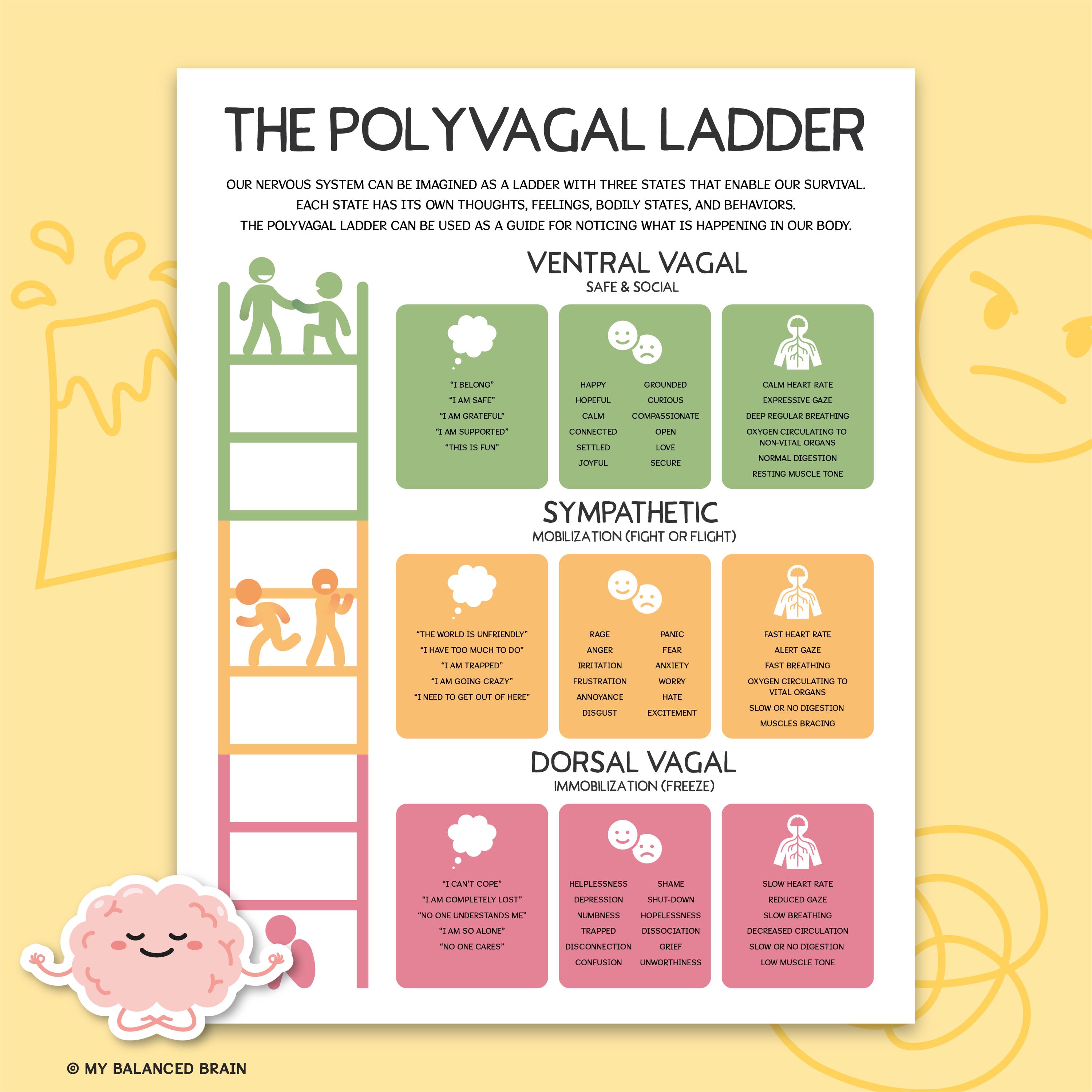 The Polyvagal Ladder, Vagal Nerve Stimulation, Vegus Nerve ...