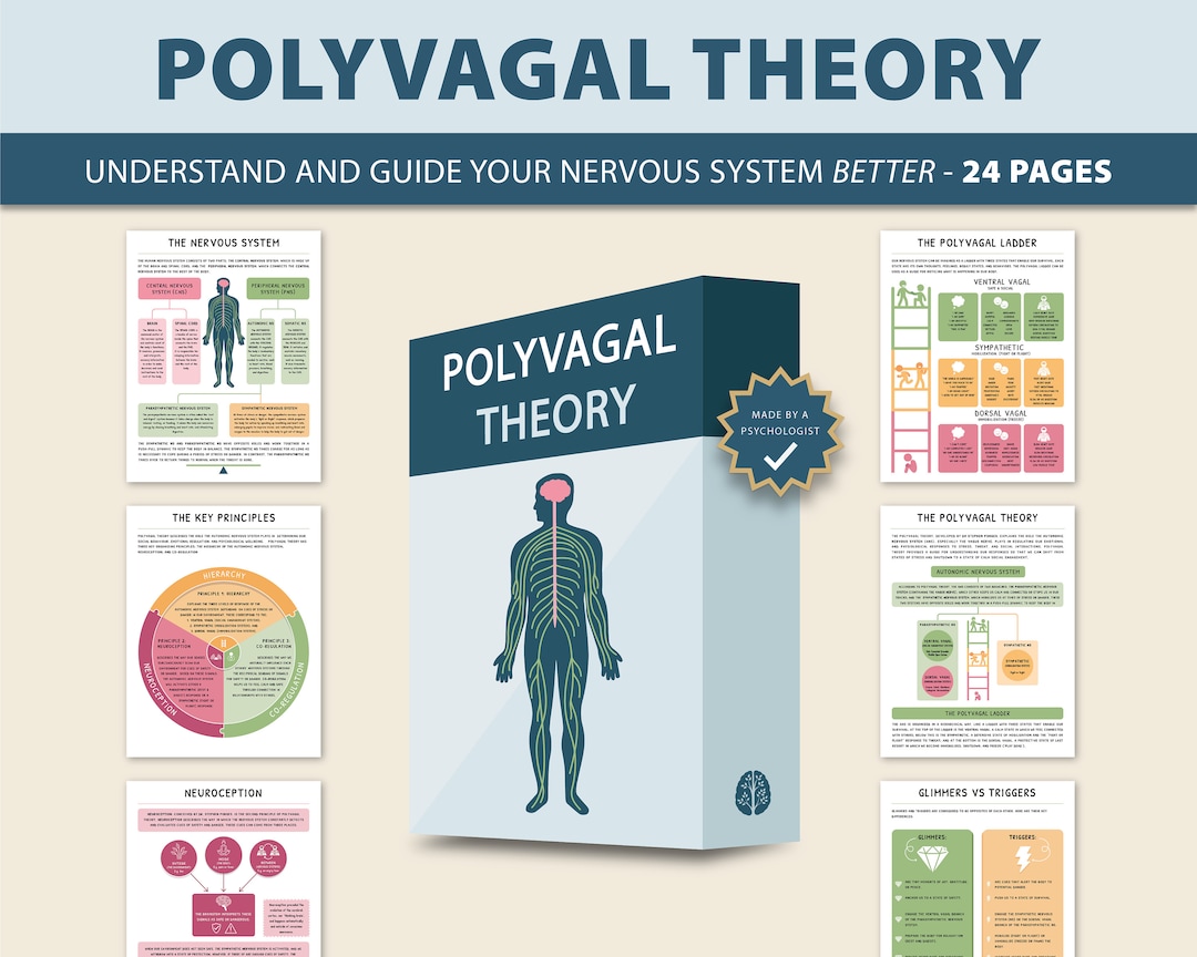 Nervous System Regulation Workbook, Polyvagal Theory Ladder, Vagus ...