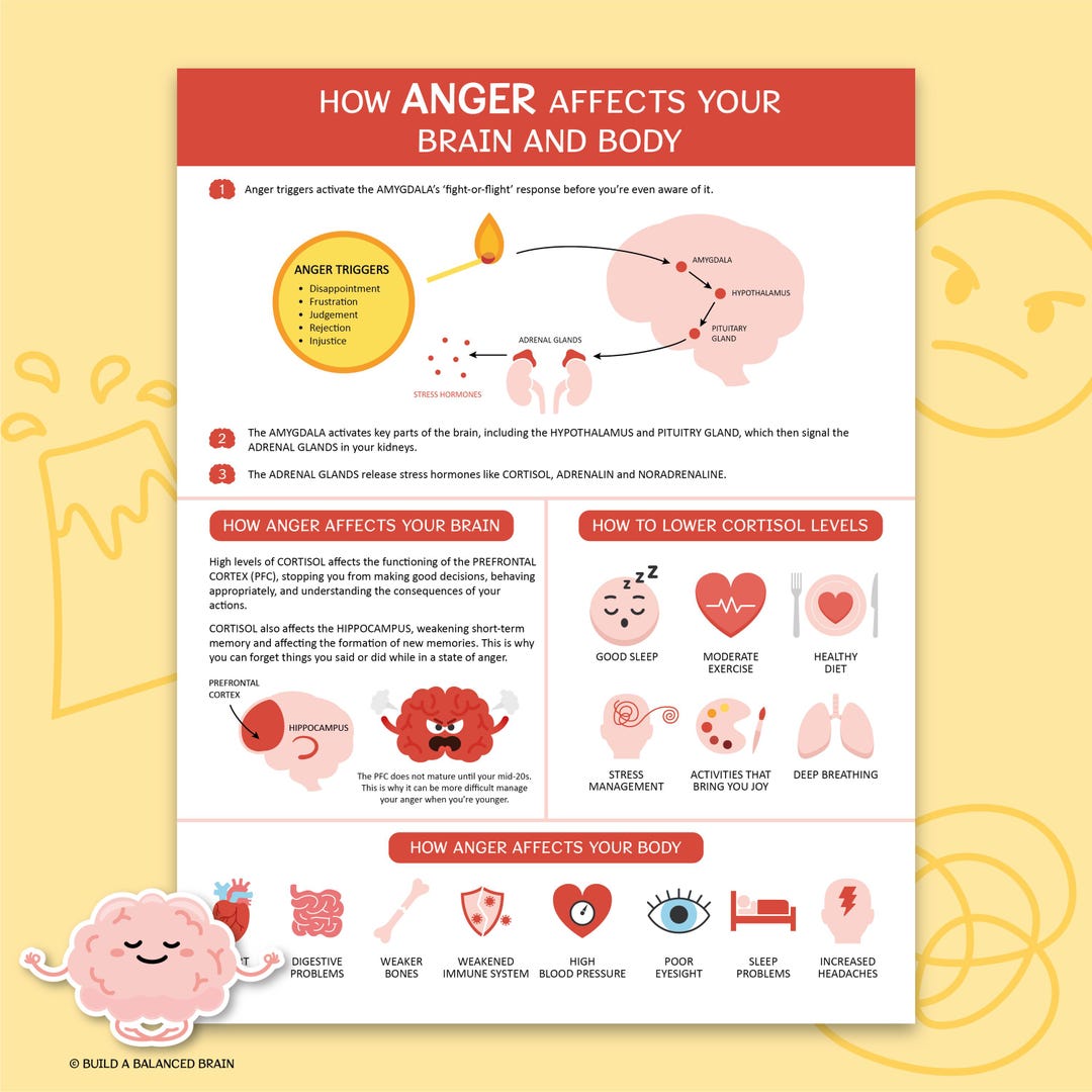 Anger Affects on the Brain and Body, Neuroscience, Emotional Regulation ...