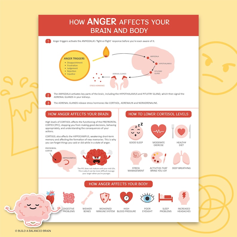 Anger Affects on the Brain and Body, Neuroscience, Emotional Regulation ...
