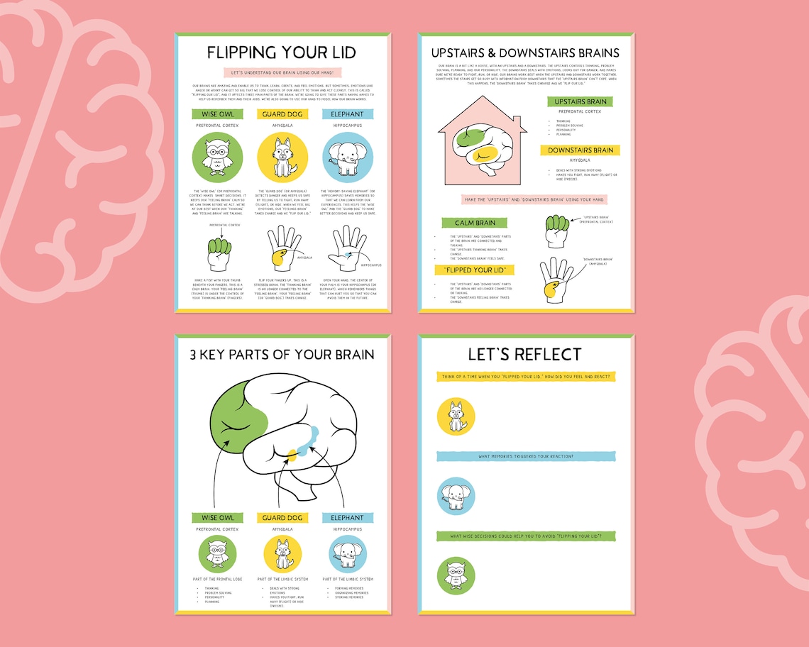 Flipping Your Lid, Emotional Regulation, Hand Model of the Brain ...