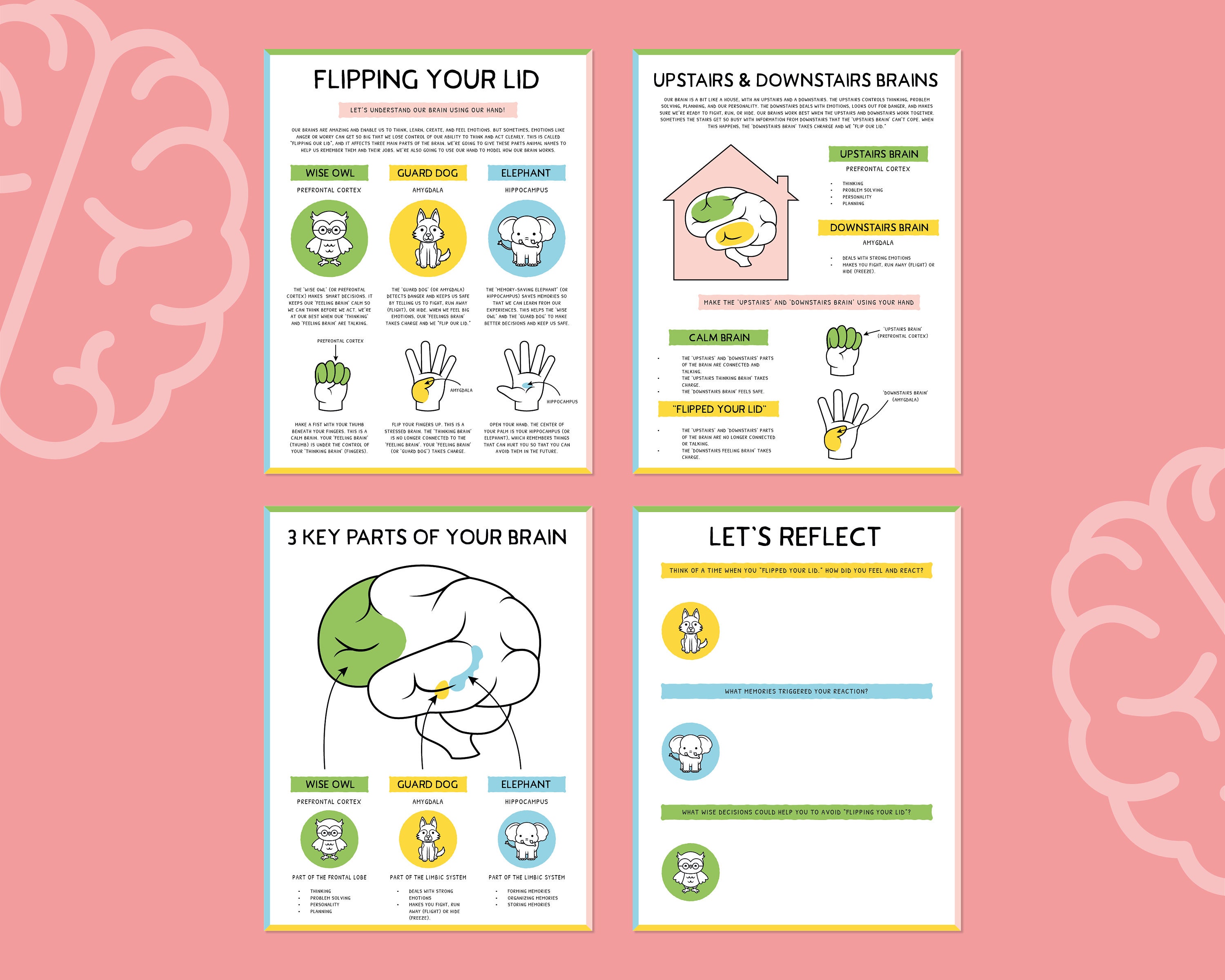 Flipping Your Lid, Emotional Regulation, Hand Model of the Brain ...