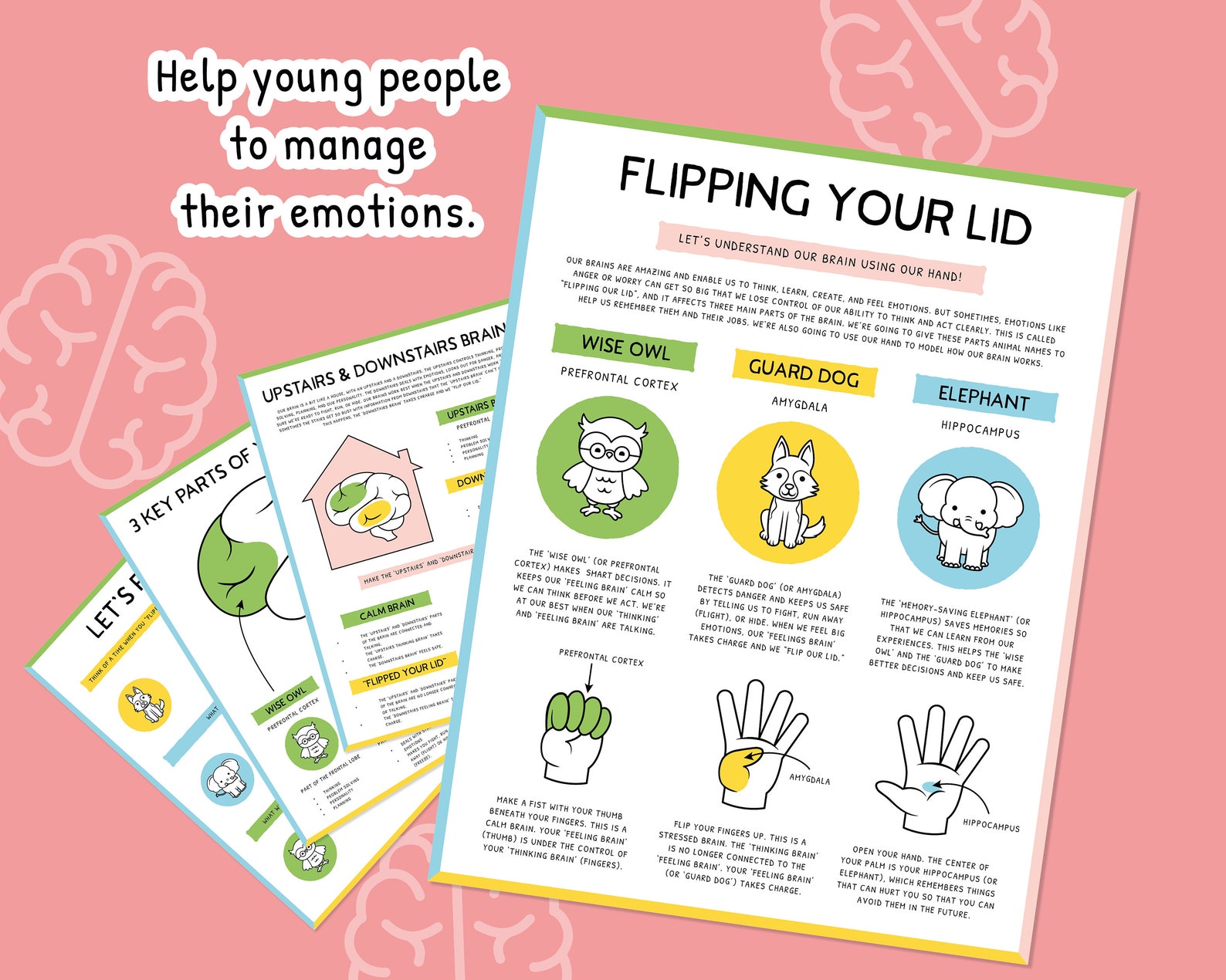 Flipping Your Lid, Emotional Regulation, Hand Model of the Brain ...