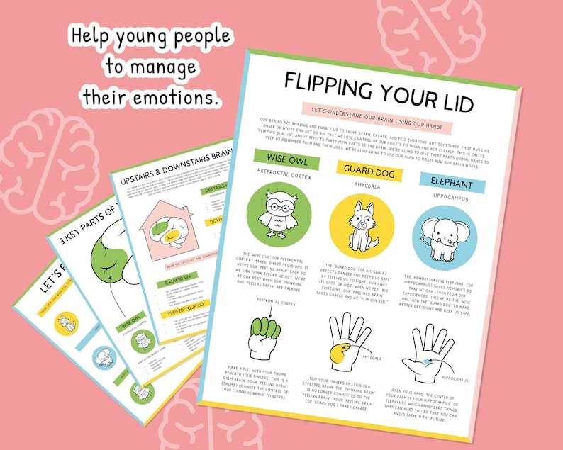 Flipping Your Lid, Emotional Regulation, Hand Model of the Brain ...