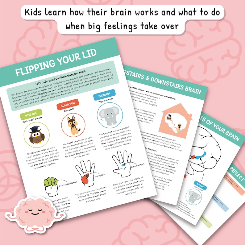 Flipping Your Lid, Emotional Regulation, Hand Model of the Brain ...