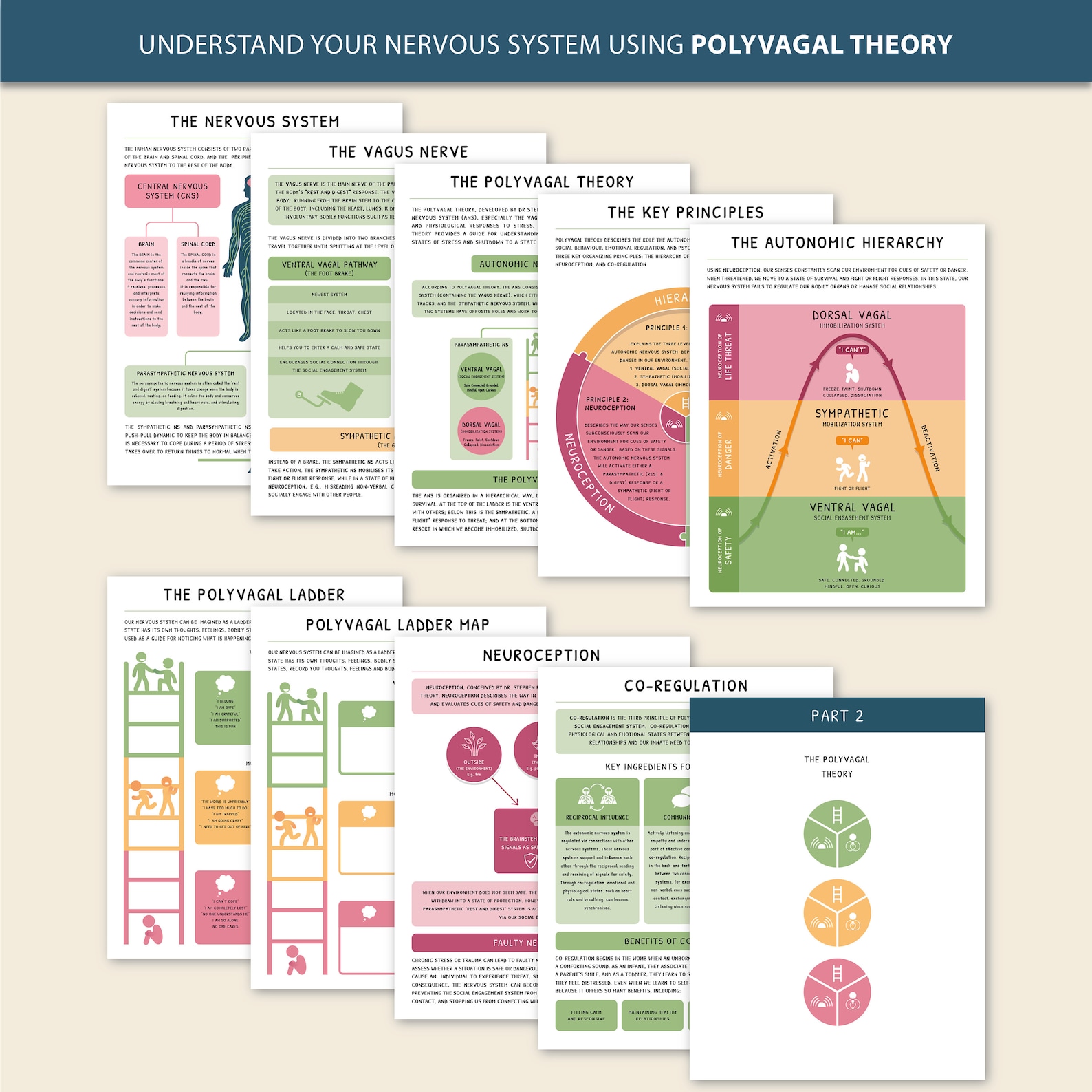 Nervous System Regulation Workbook, Polyvagal Theory Ladder, Vagus ...