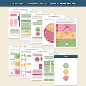 Nervous System Regulation Workbook, Polyvagal Theory Ladder, Vagus ...