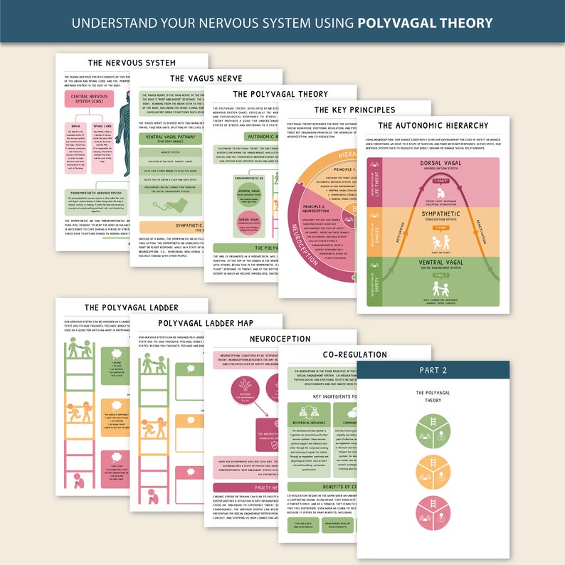 Nervous System Regulation Workbook, Polyvagal Theory Ladder, Vagus ...