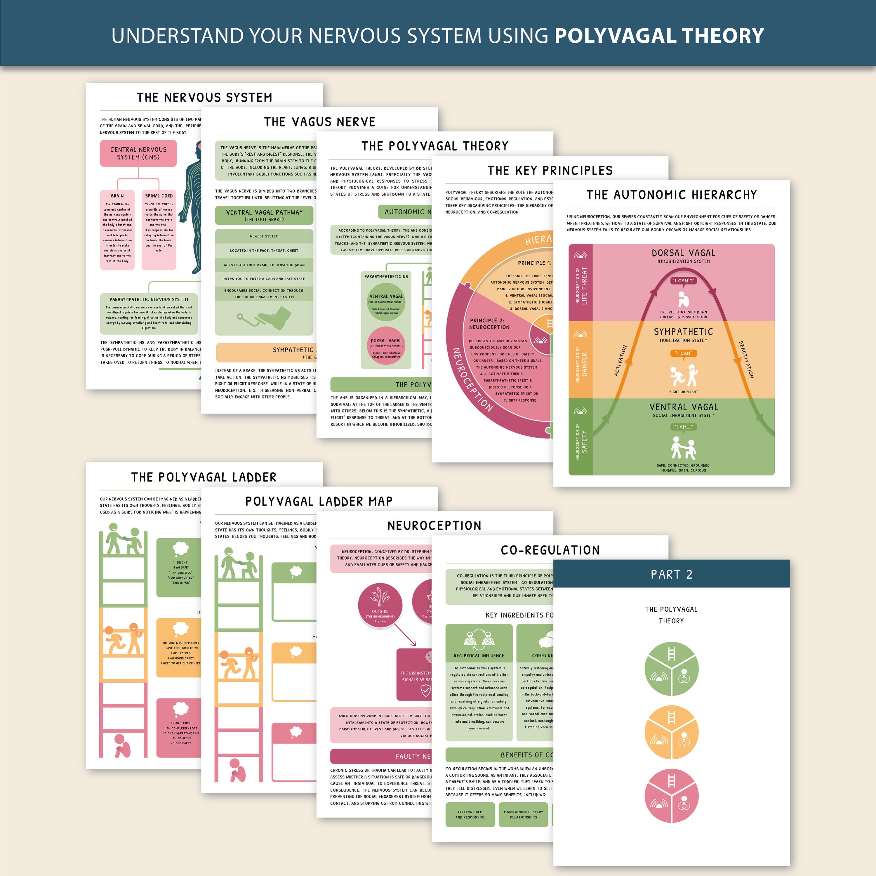 Nervous System Regulation Workbook, Polyvagal Theory Ladder, Vagus ...