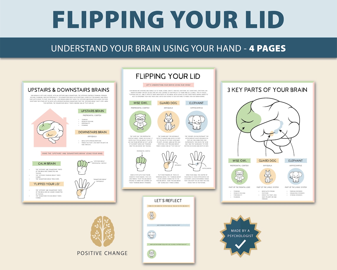Flipping Your Lid, Emotional Regulation, Hand Model of the Brain ...