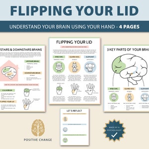 Flipping Your Lid, Emotional Regulation, Hand Model of the Brain ...