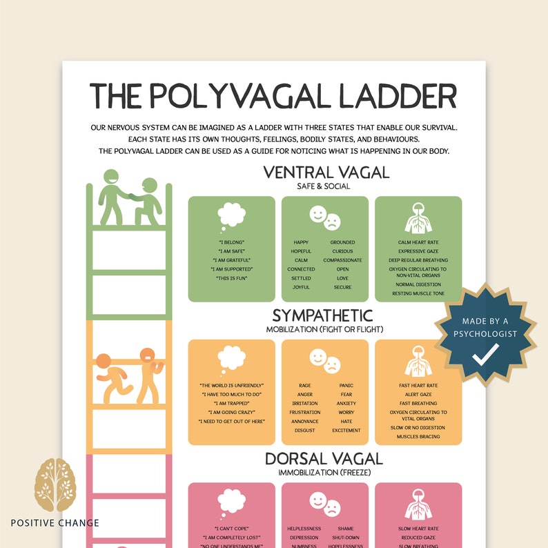 The Polyvagal Ladder, Vagal Nerve Stimulation, Vegus Nerve ...