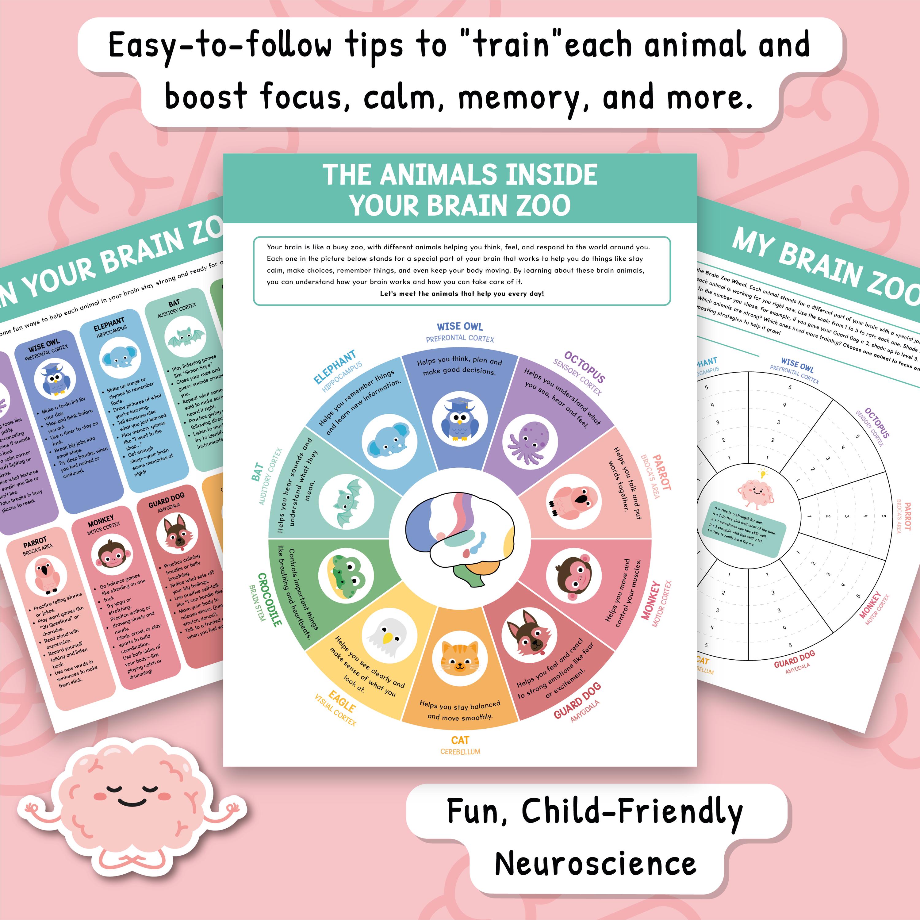 Flipping Your Lid, Emotional Regulation, Brain Hand Model, Emotions ...