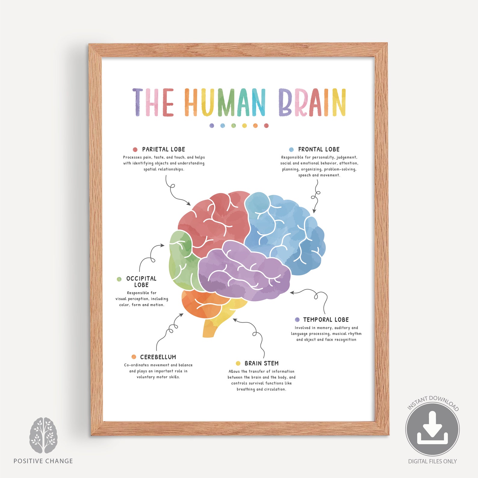 The Human Brain Poster, Mind Body Connection Print, Watercolor Brain ...