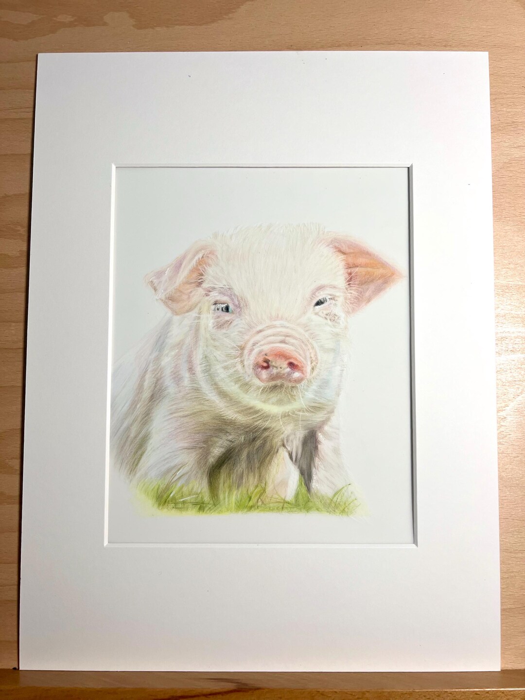 Original Pig Colored Pencil Drawing: Wildlife Art by Aimie Morosova - Etsy