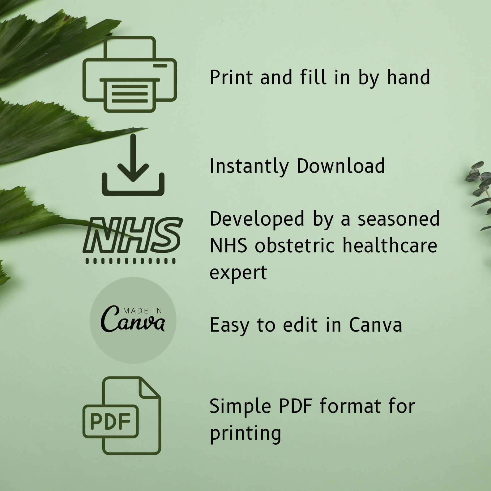 Birth Plan Template Birth Preferences Editable Plan Template Sample ...