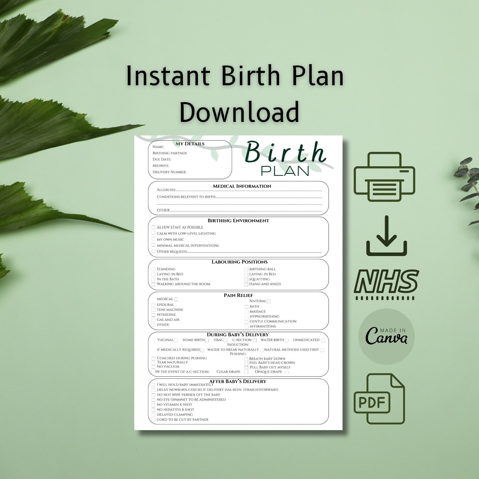 Birth Plan Template Birth Preferences Editable Plan Template Sample ...